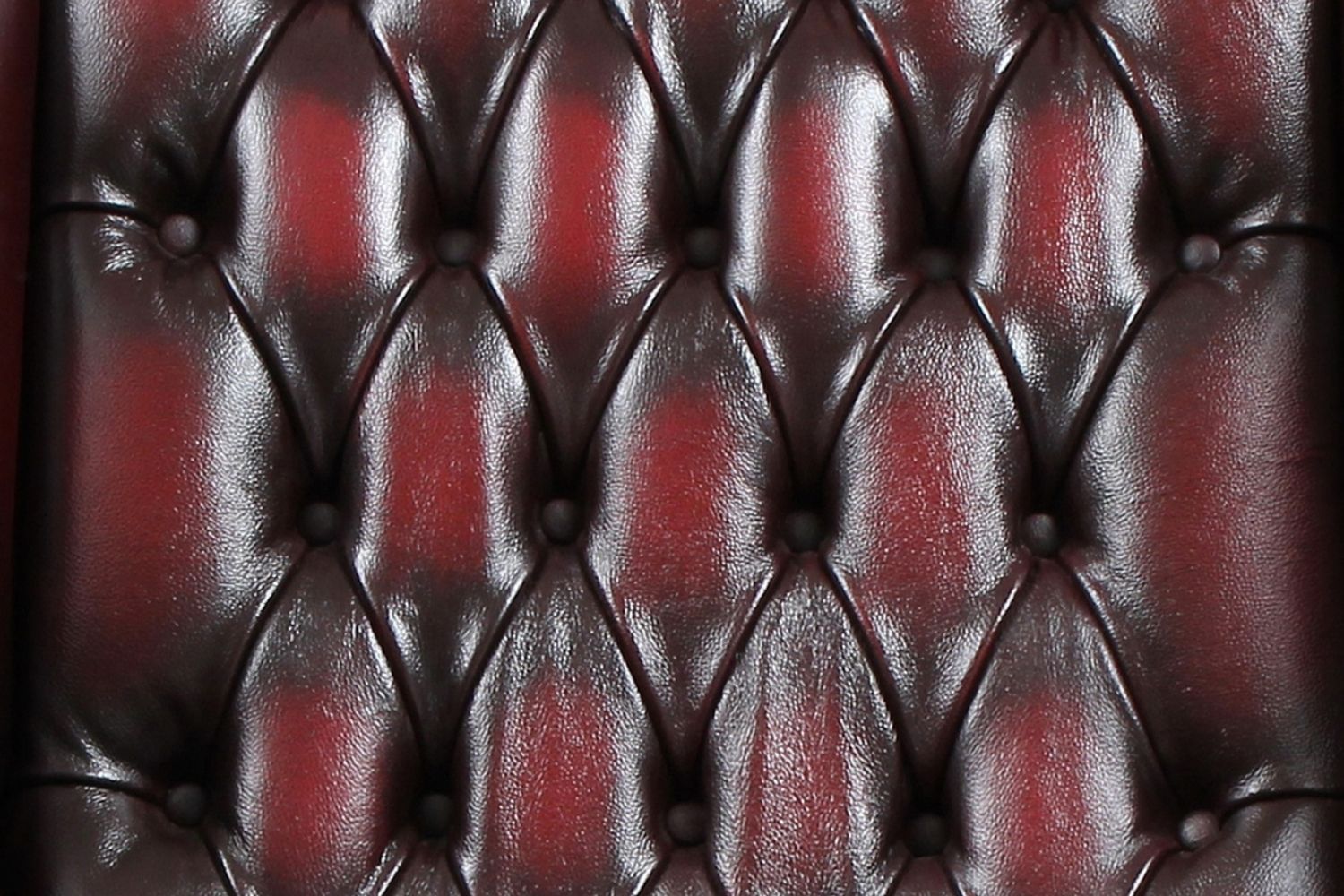 WILLIFORD 100% Genuine Leather Chesterfield High Back Wing Chair ...